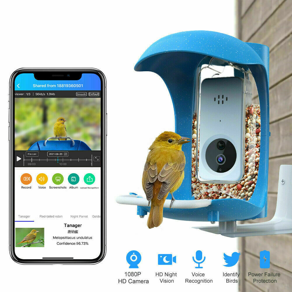Smart Bird Feeder with Video and Smartphone APP